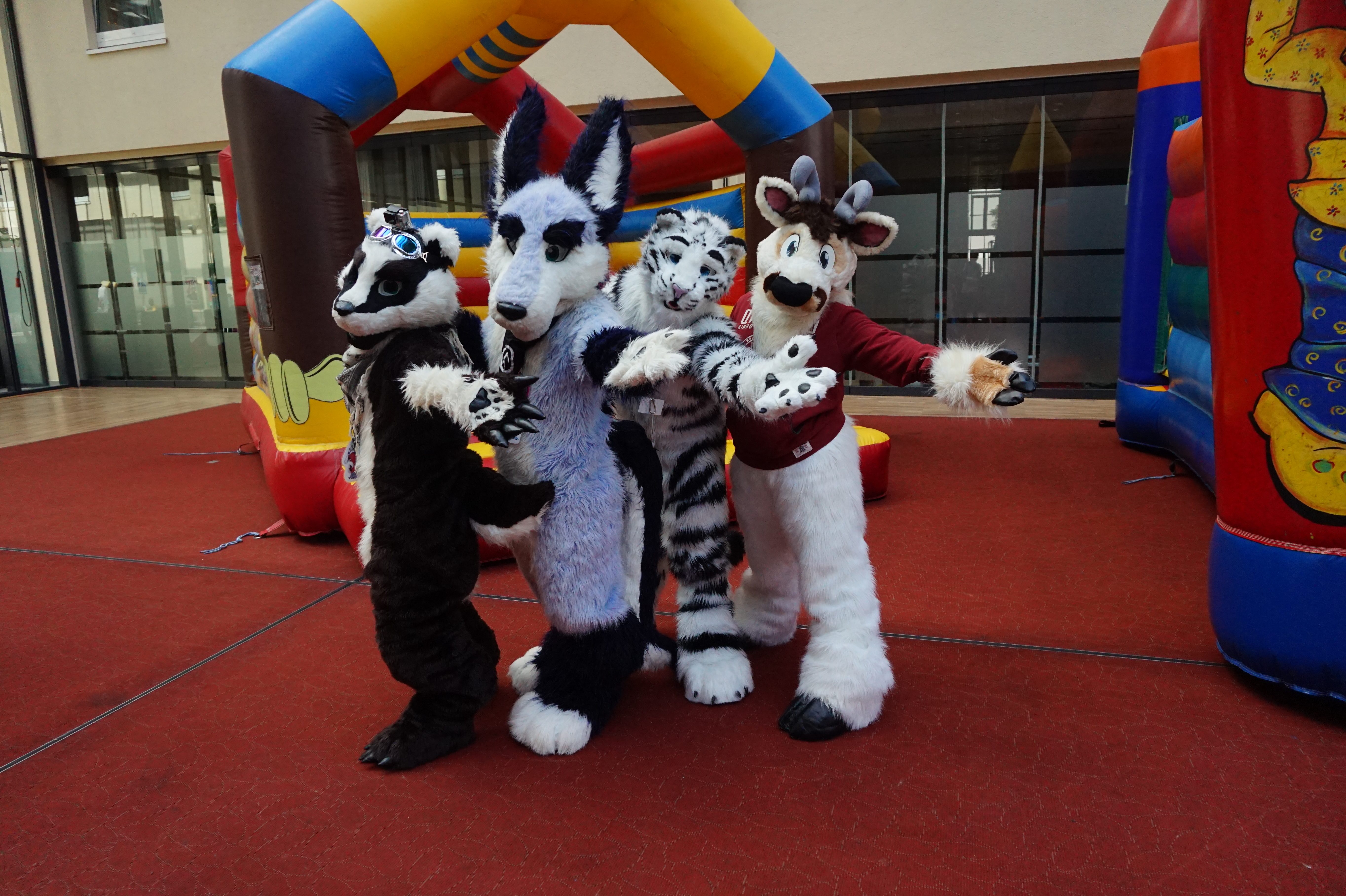 Zuzu photoshoot 2017 nov | Zuzu Fursuit