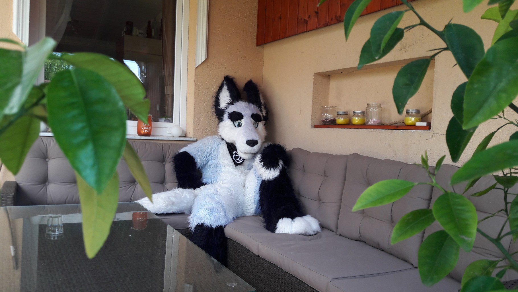Zuzu fursuit photoshoot – jun 03 | Zuzu Fursuit - Dj Zuzu mixes
