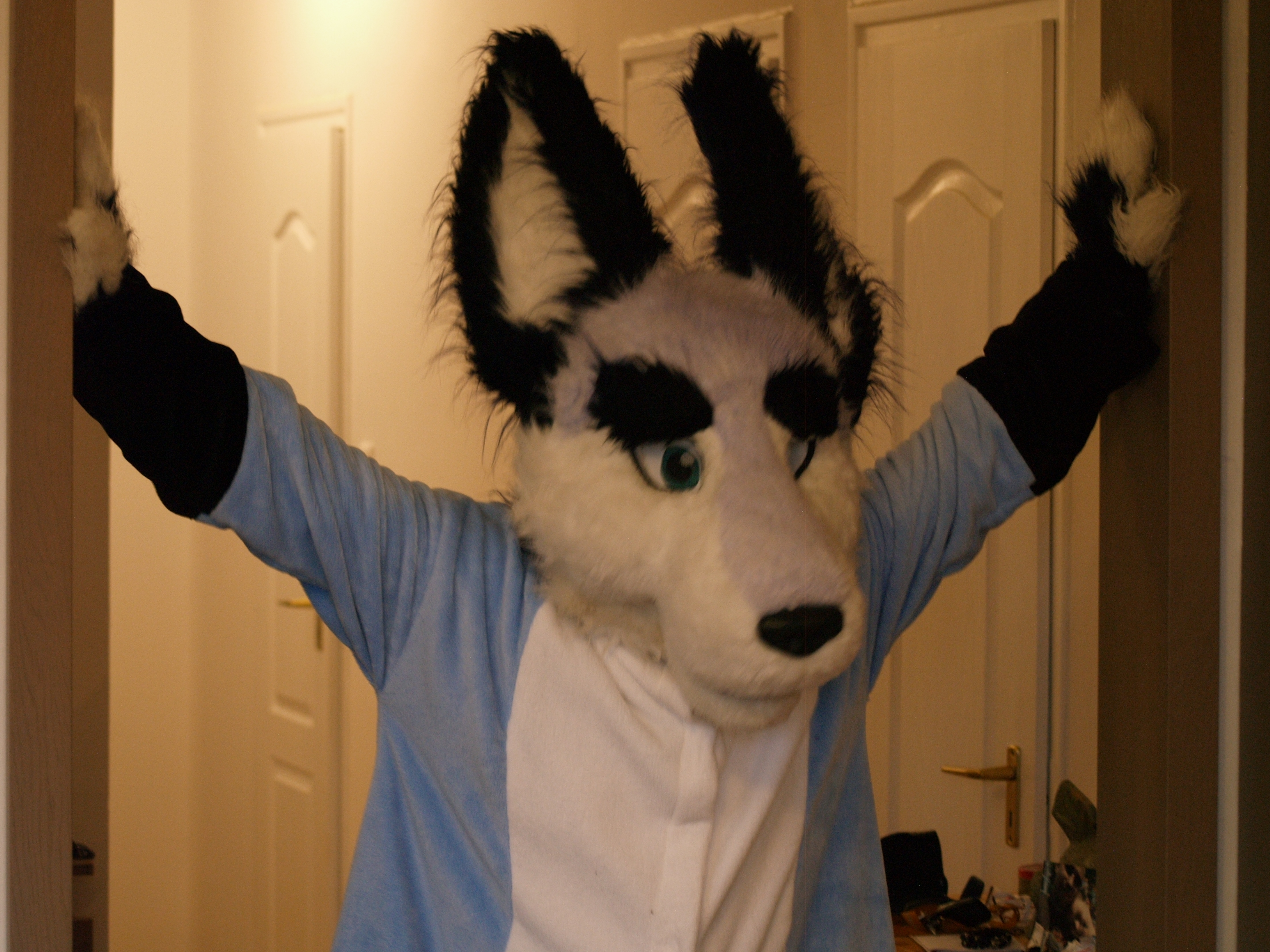 Zuzu photoshoot 2017 nov | Zuzu Fursuit - Dj Zuzu mixes